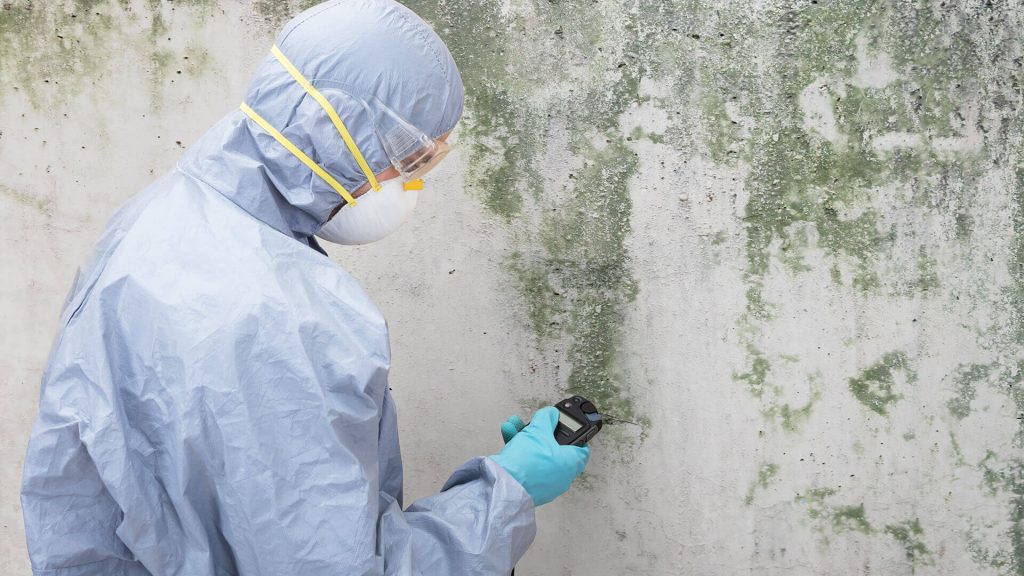 Call Fresh - Quality Mold Removal & Water Cleanup Services